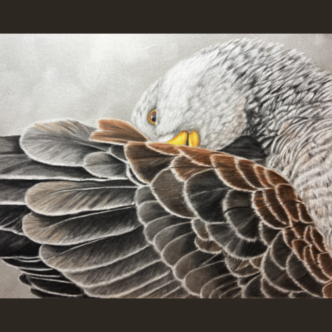 Open-Registration - Artful Webinars