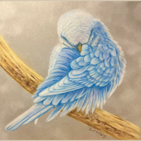 Open-Registration - Artful Webinars