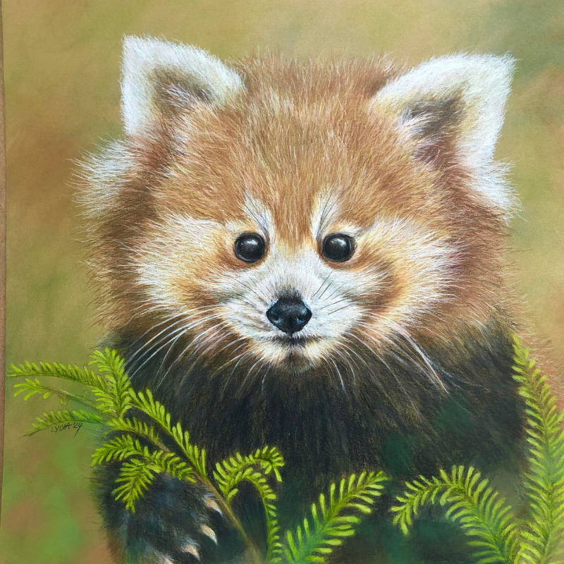 Open-Registration - Artful Webinars